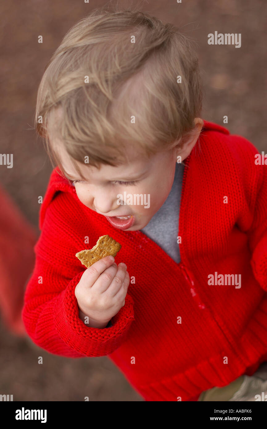 little child eating cookie Stock Photo - Alamy