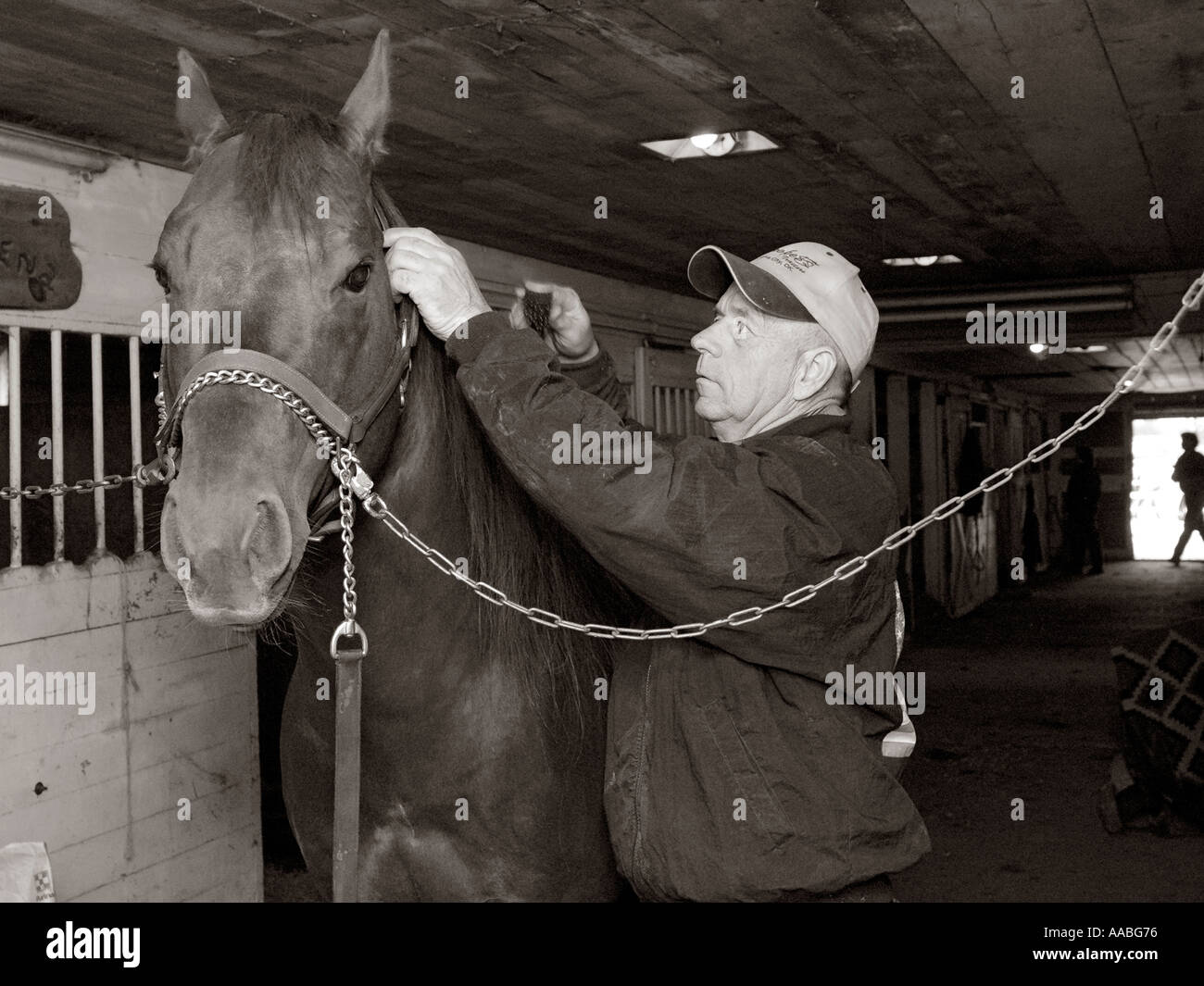 Stable master hi-res stock photography and images - Alamy