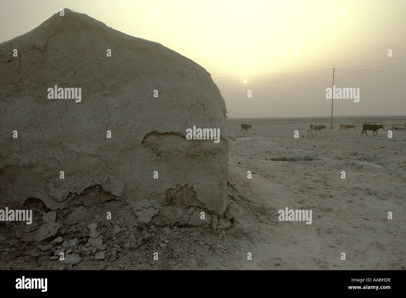 Marsh Arabs House High Resolution Stock Photography and Images - Alamy