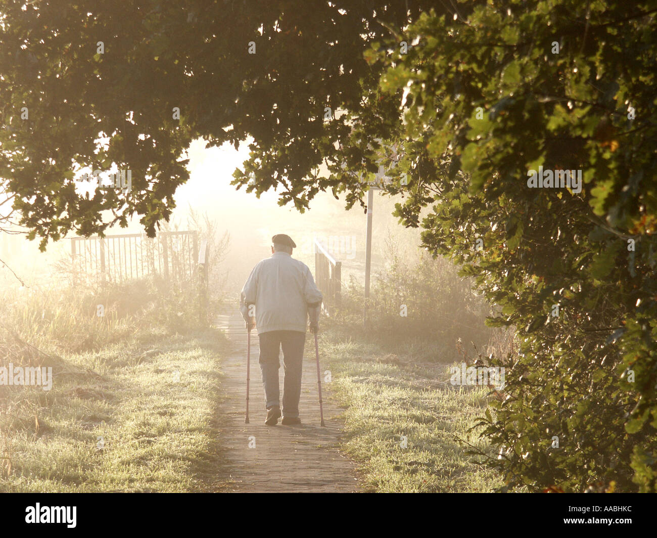 Late autumnally hi-res stock photography and images - Alamy