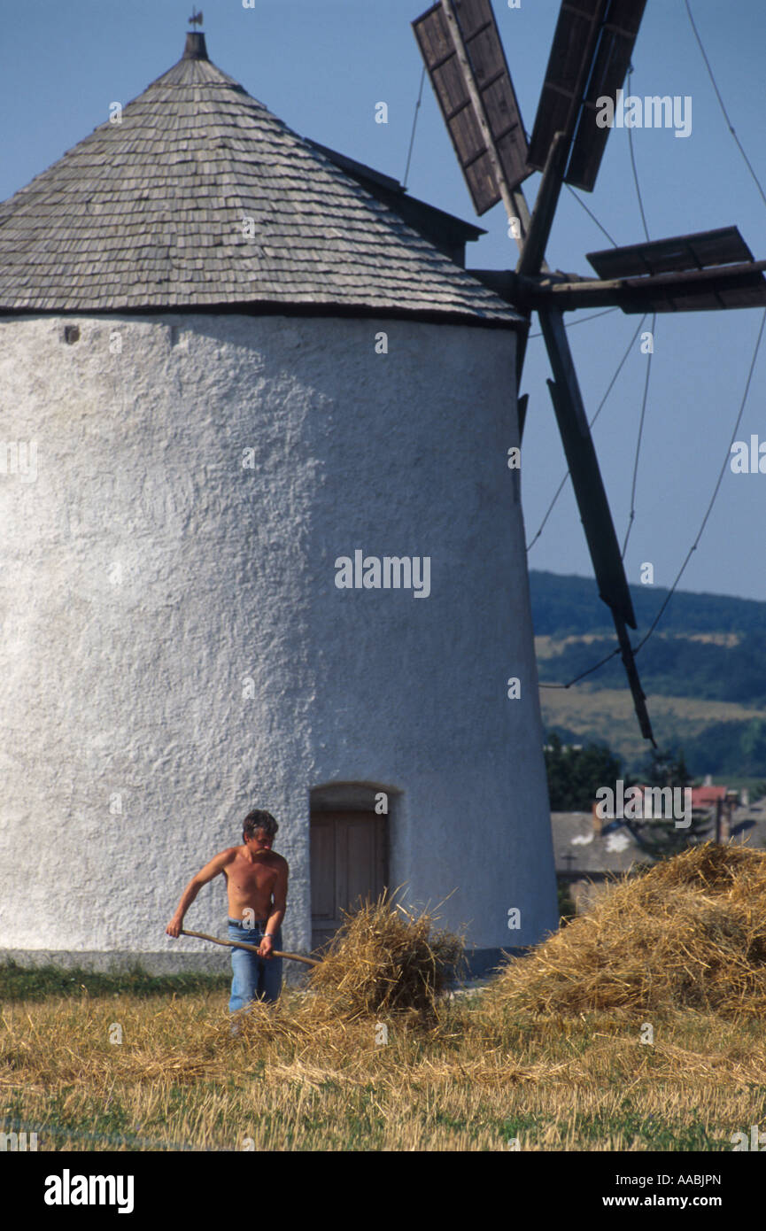Farmer using pitchfork in front of a windmill Hungary Stock Photo - Alamy