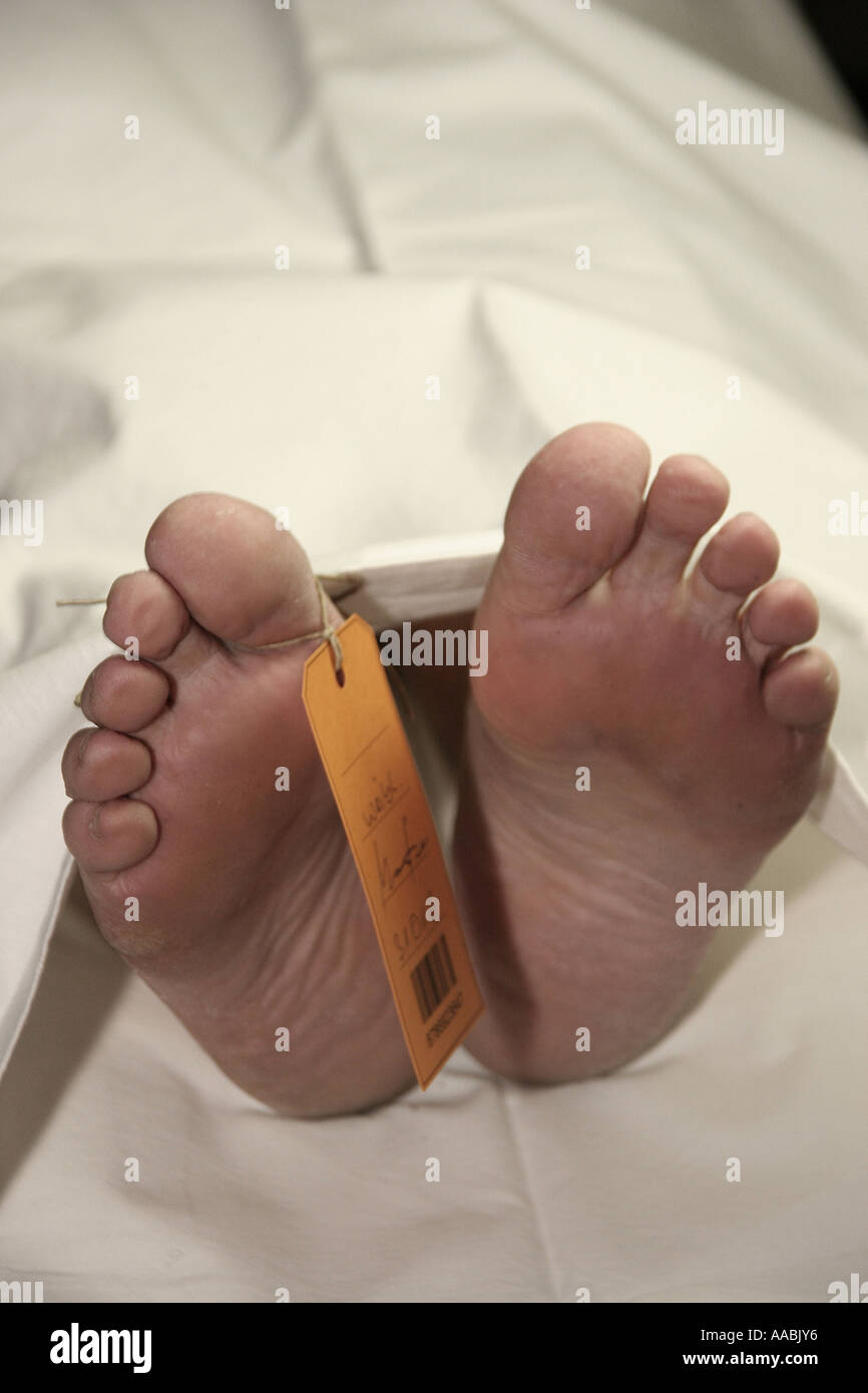 dead body under a sheet Stock Photo - Alamy
