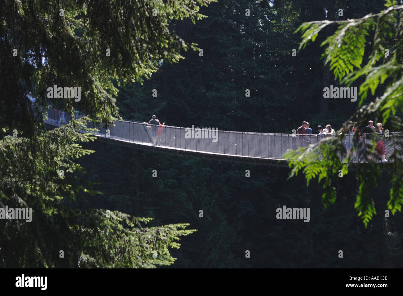 Capilano gorge hi-res stock photography and images - Alamy