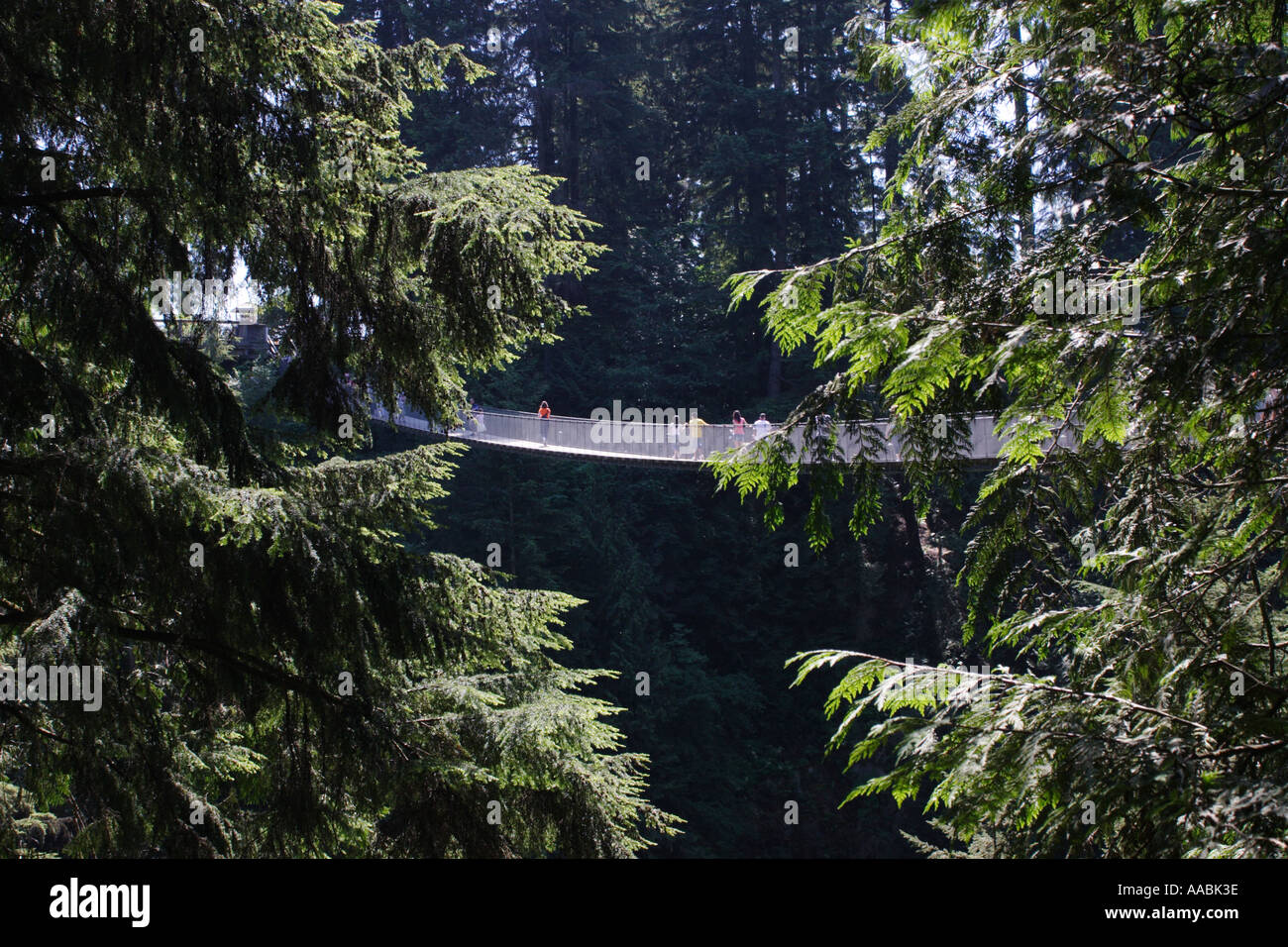 Capilano gorge hi-res stock photography and images - Alamy