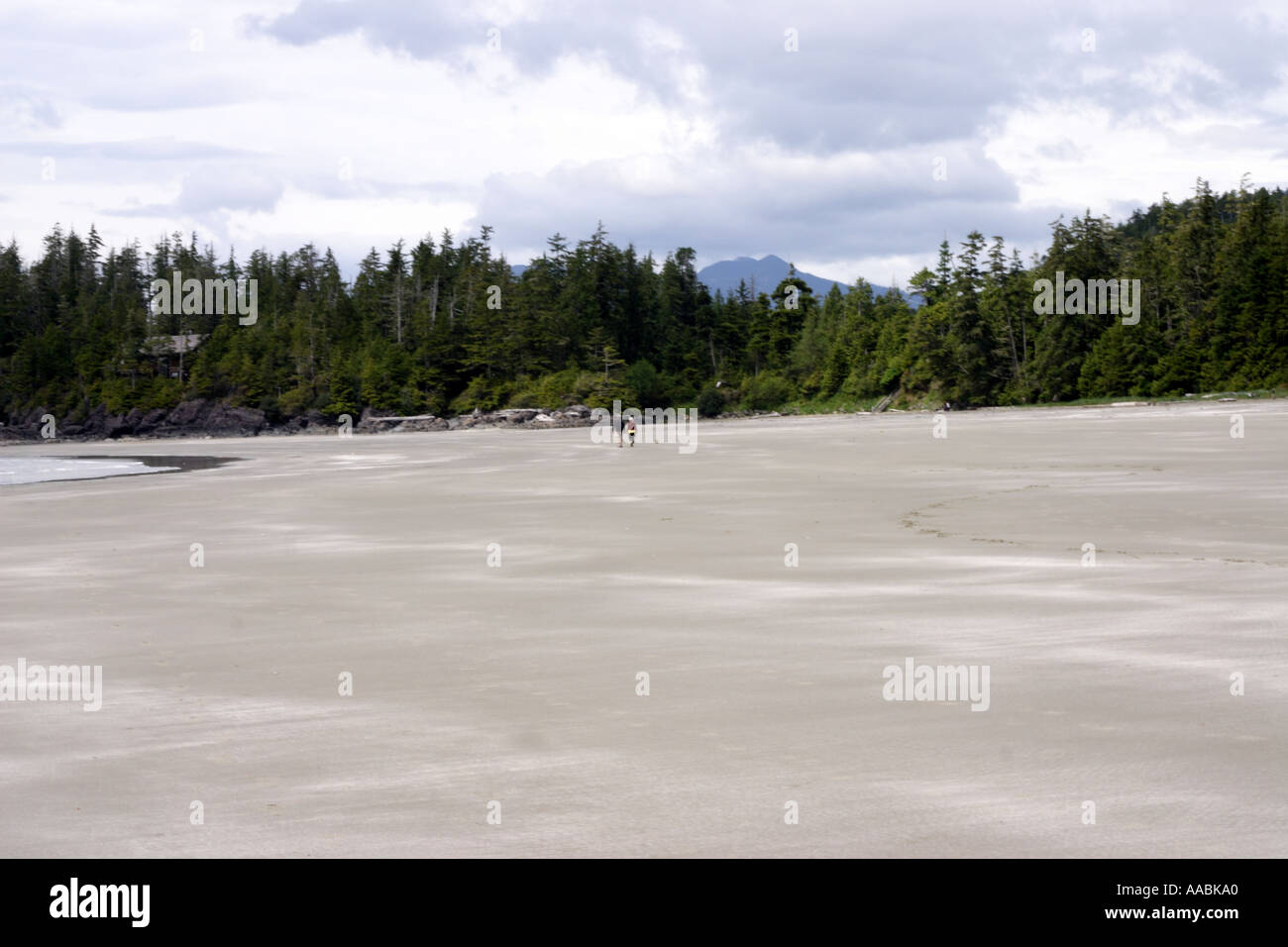Long Beach Pacific Rim Provincial Park Tofino British Columbia Canada ...