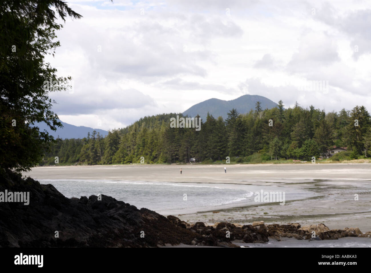 Long Beach Pacific Rim Provincial Park Tofino British Columbia Canada ...