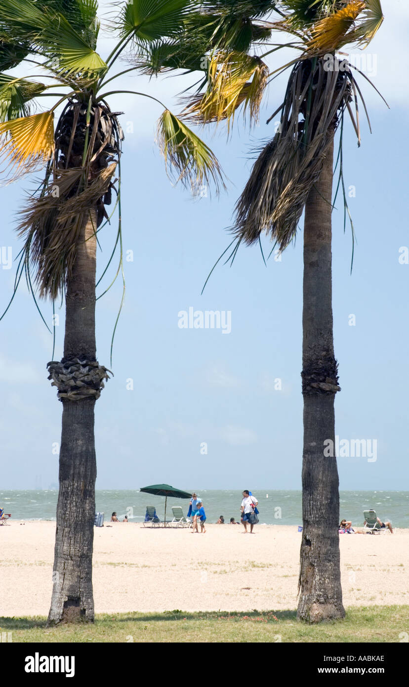 Corpus christi harbour hi-res stock photography and images - Alamy