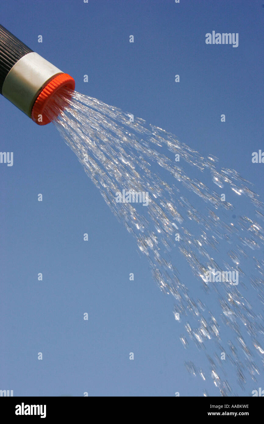 Zippy rainbow hi-res stock photography and images - Alamy