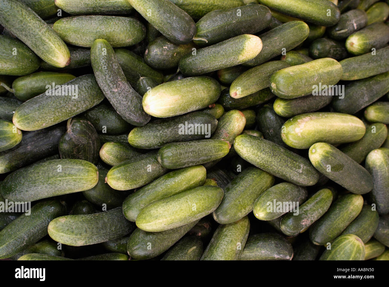 Courgettes Close Up Stock Photo - Alamy