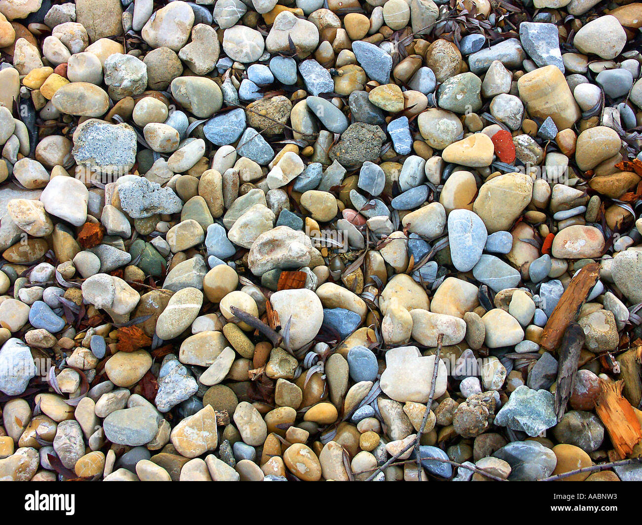 Unfadingly hi-res stock photography and images - Alamy