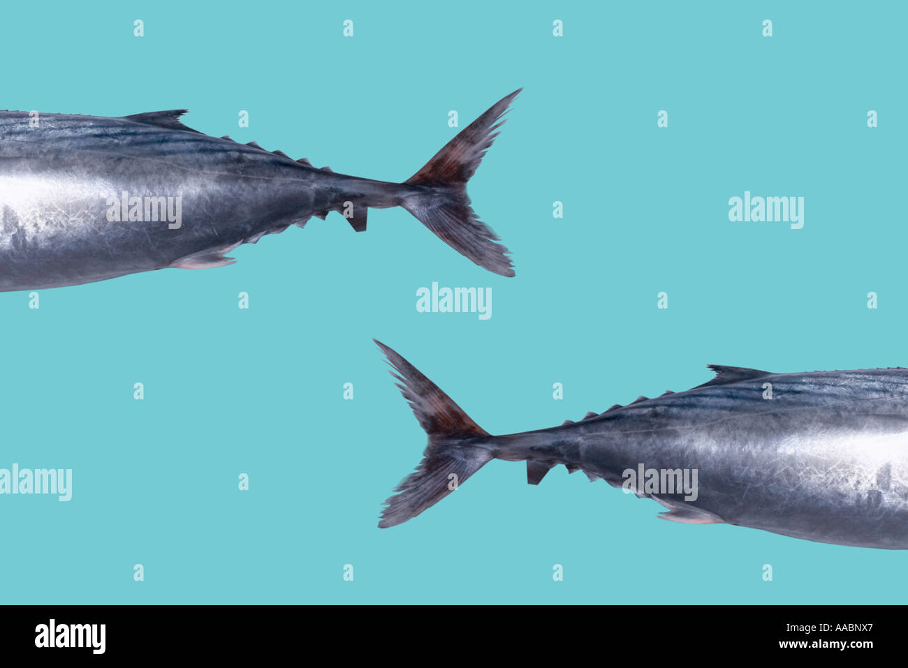 Picture symbols swim hi-res stock photography and images - Alamy