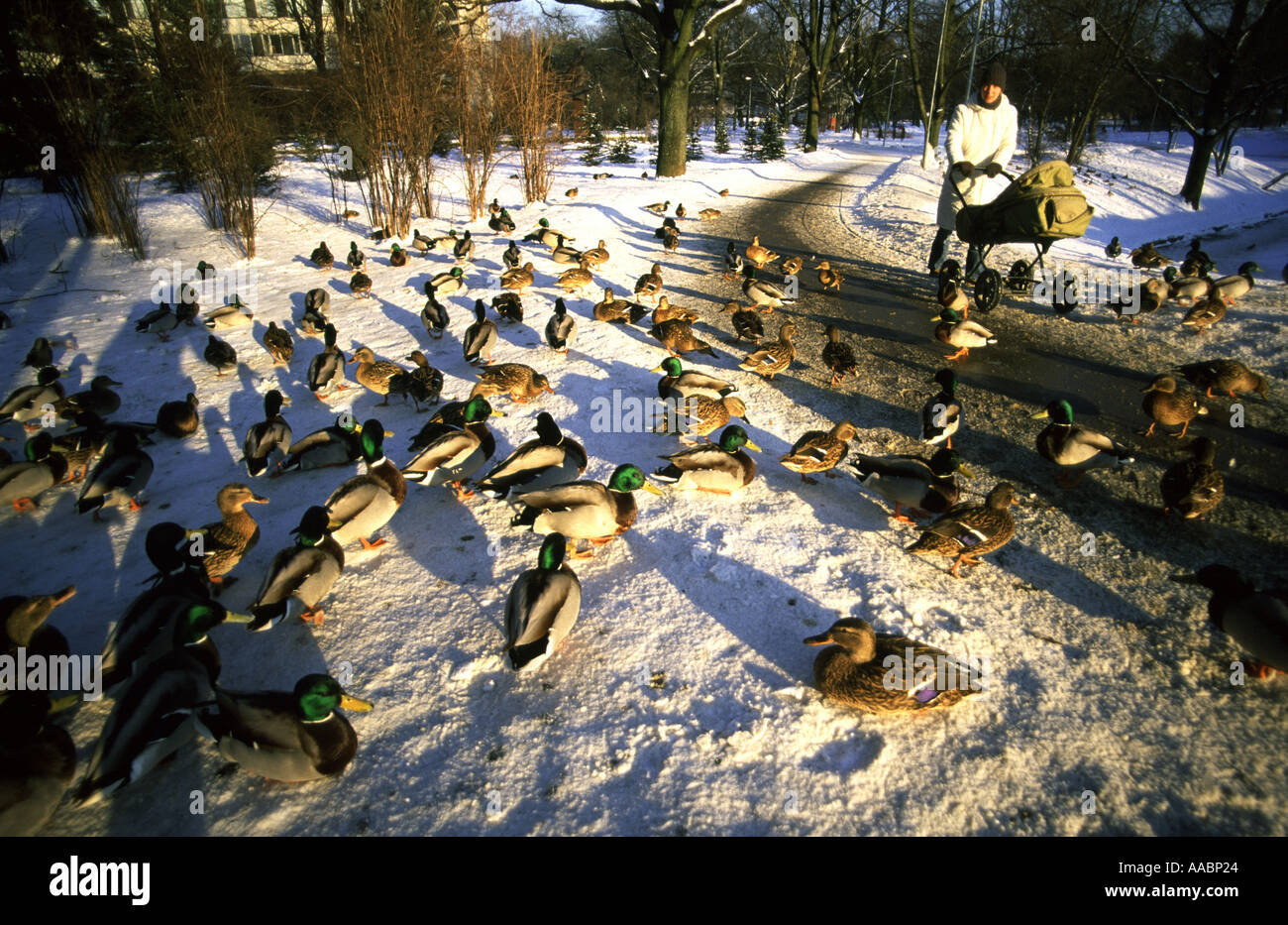 Kronvalda park riga hi-res stock photography and images - Alamy