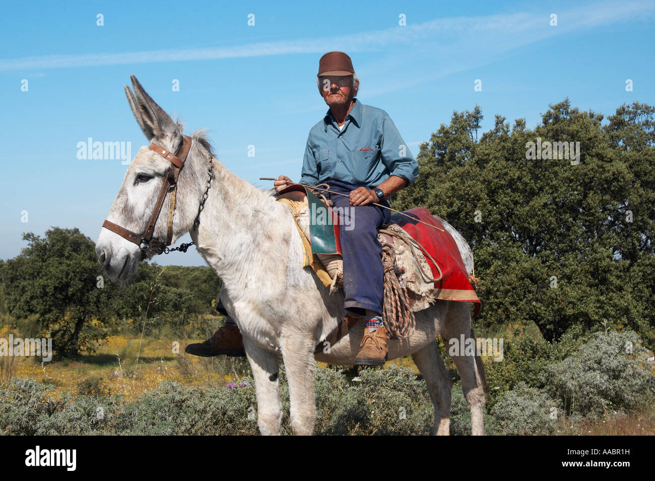 Farmer and mule near Caceres, Extremadura region of Spain, Europe Stock ...