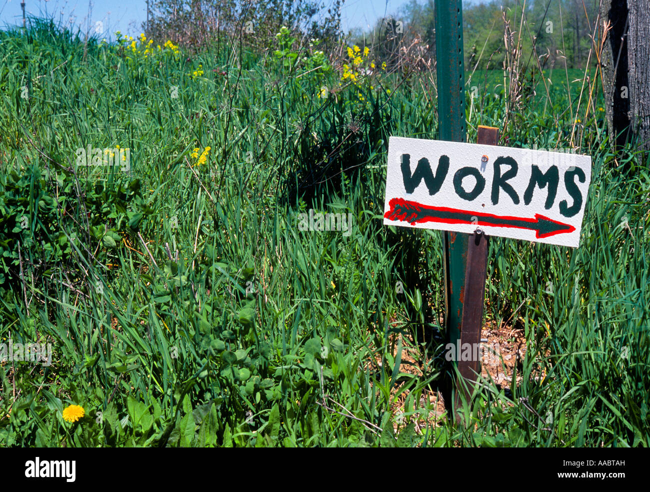 No Worms High Resolution Stock Photography and Images - Alamy