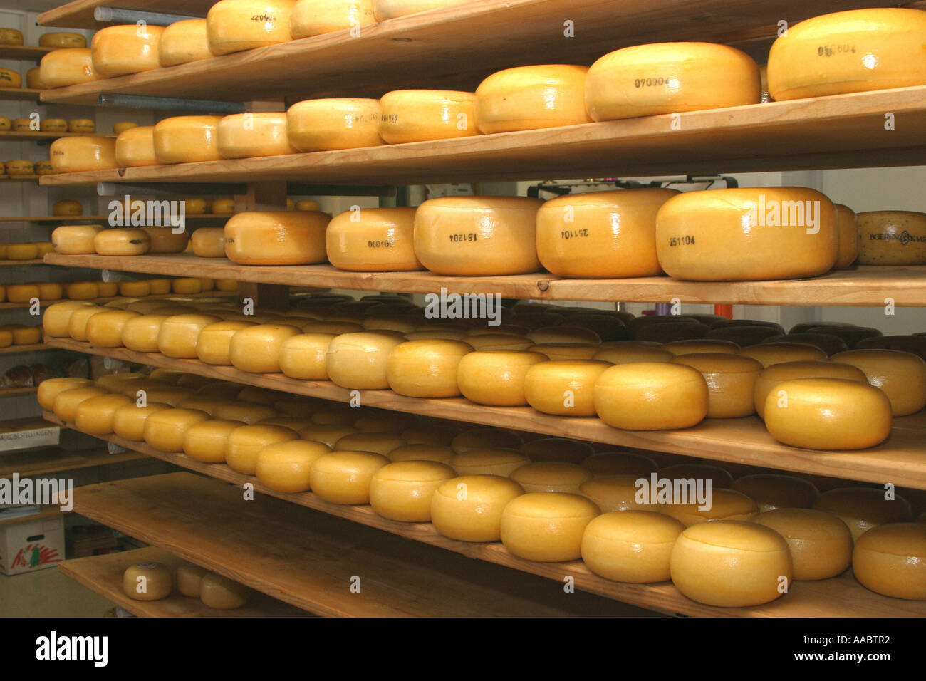 loaf of cheese in a shelf Stock Photo - Alamy
