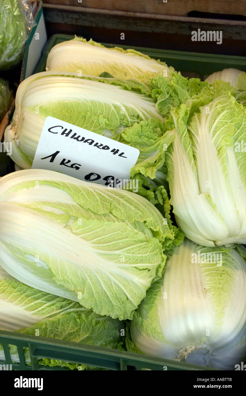 Waste food garbage kilos hi-res stock photography and images - Alamy