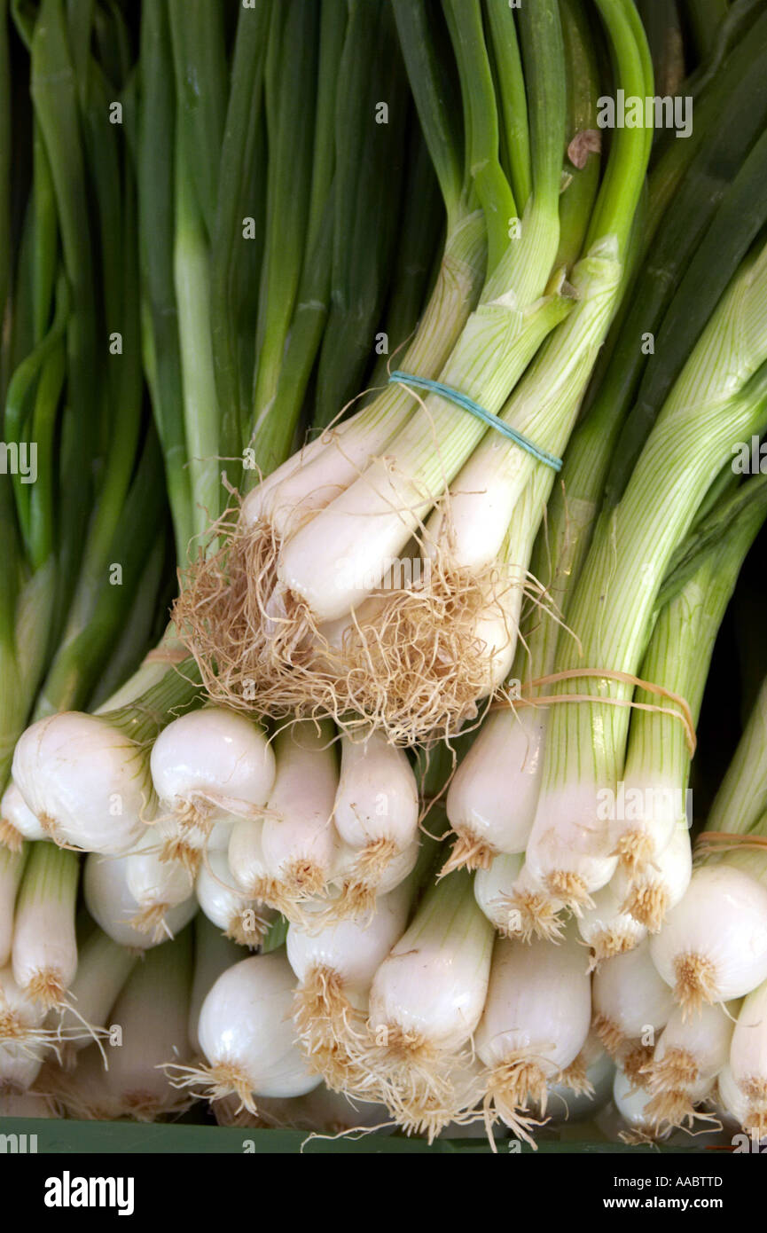 Leek market square hi-res stock photography and images - Alamy