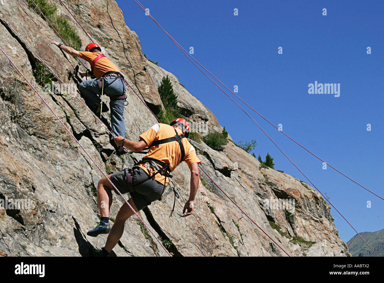 In the climbing garden Stock Photo - Alamy