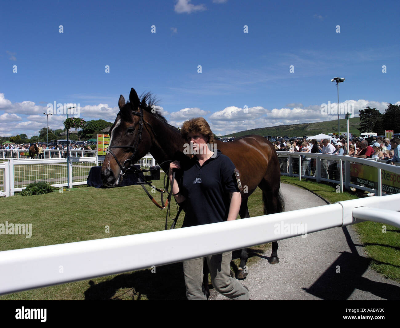 The Parade Ring at Cartmel Races Stock Photo - Alamy