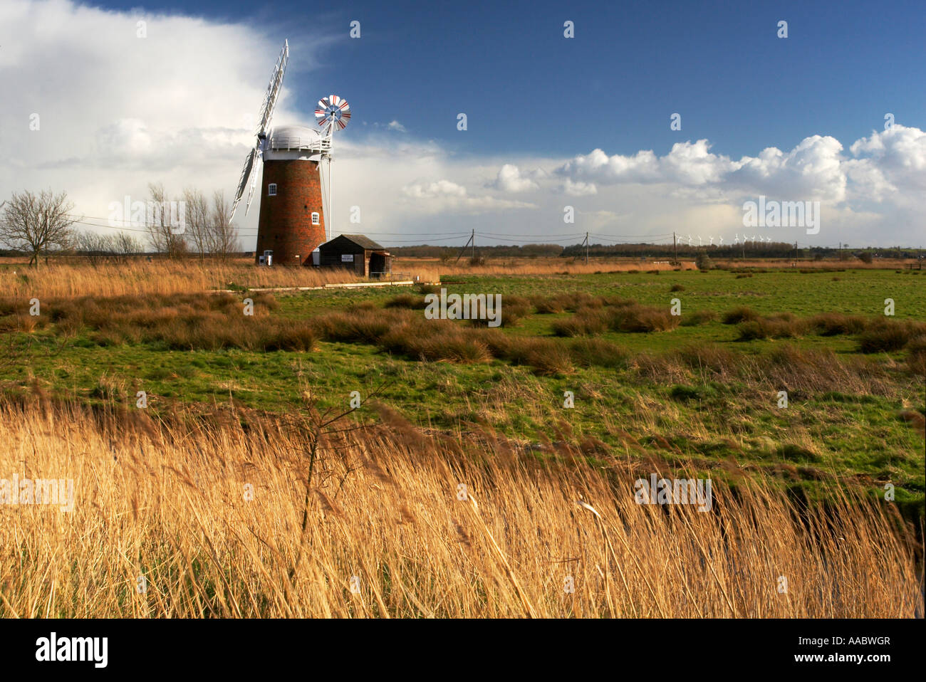 Horsey Windmill / Windpump Stock Photo - Alamy