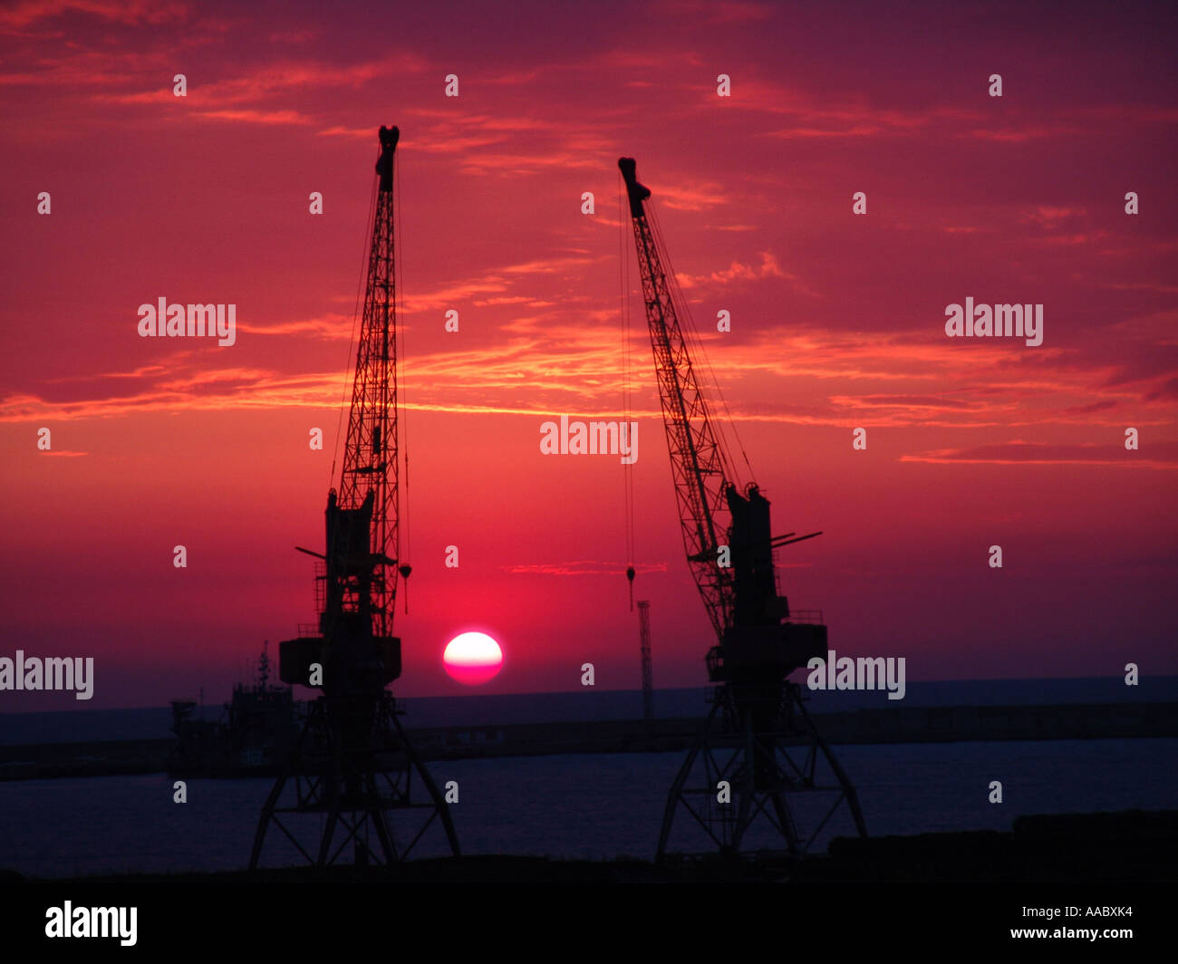 Construction cranes with sunset Stock Photo - Alamy