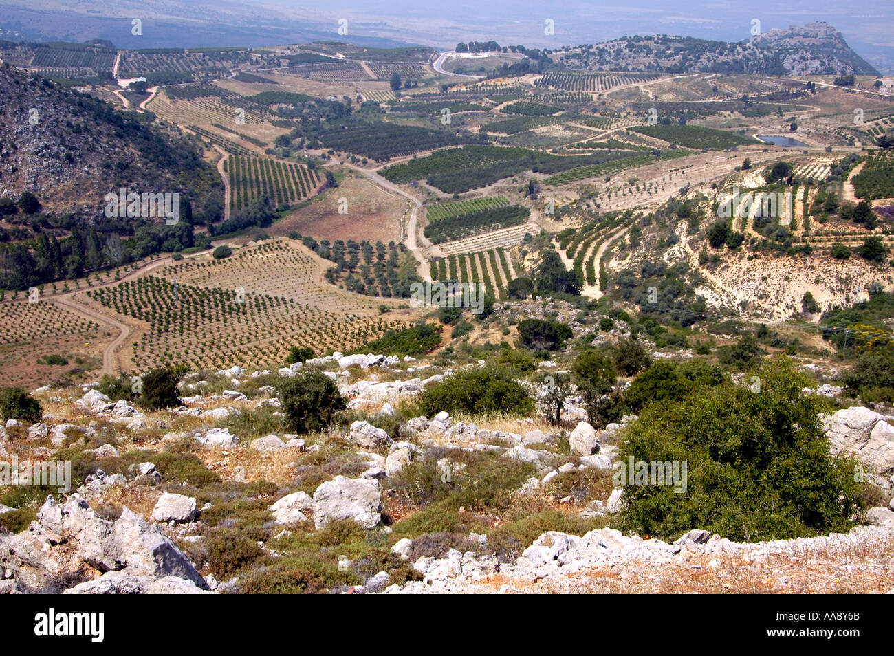 Israel vineyard golan hi-res stock photography and images - Alamy