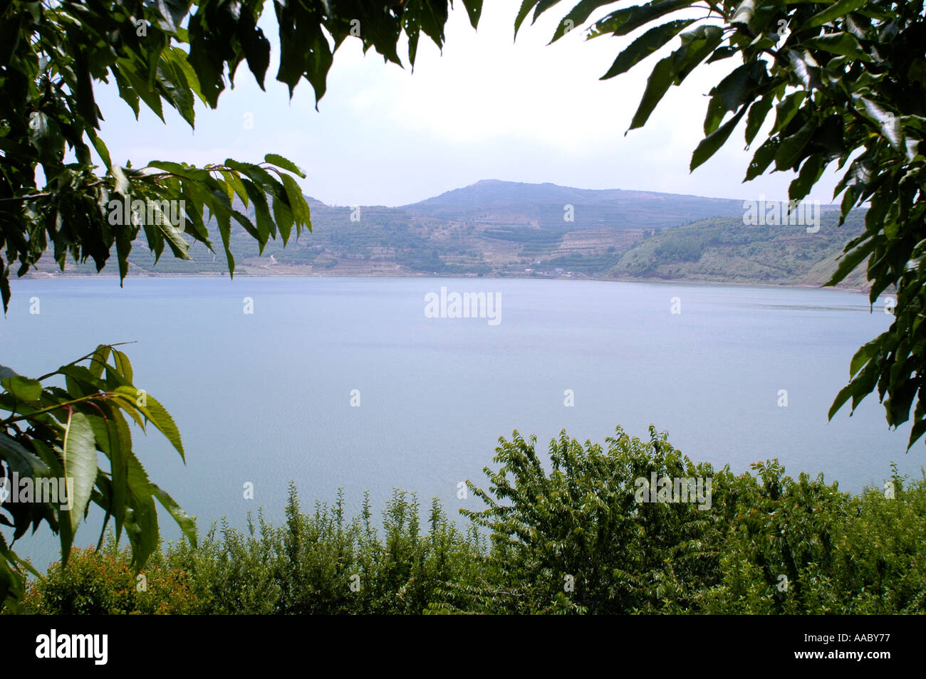Berekhat ram hi-res stock photography and images - Alamy