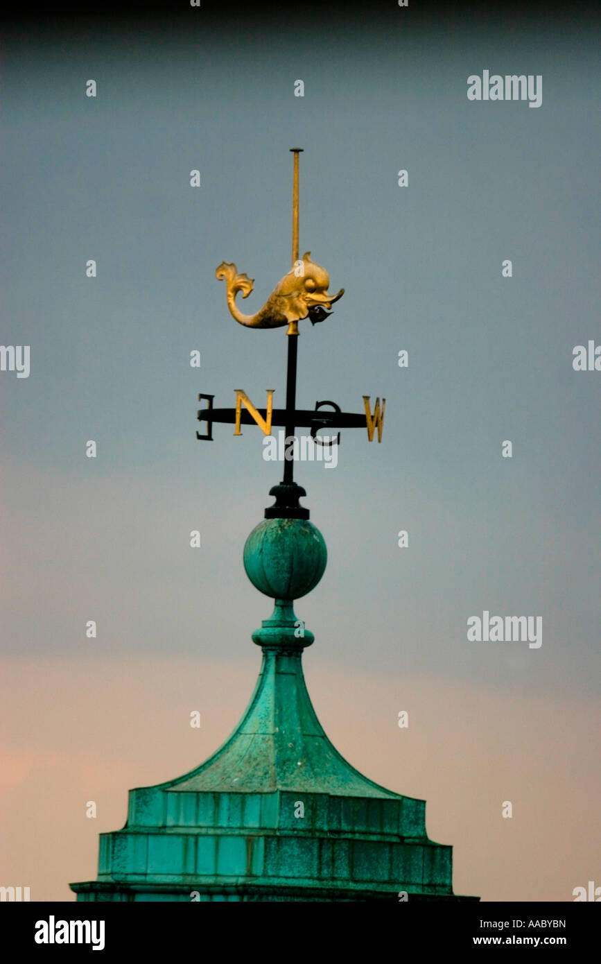 South pointing fish hi-res stock photography and images - Alamy