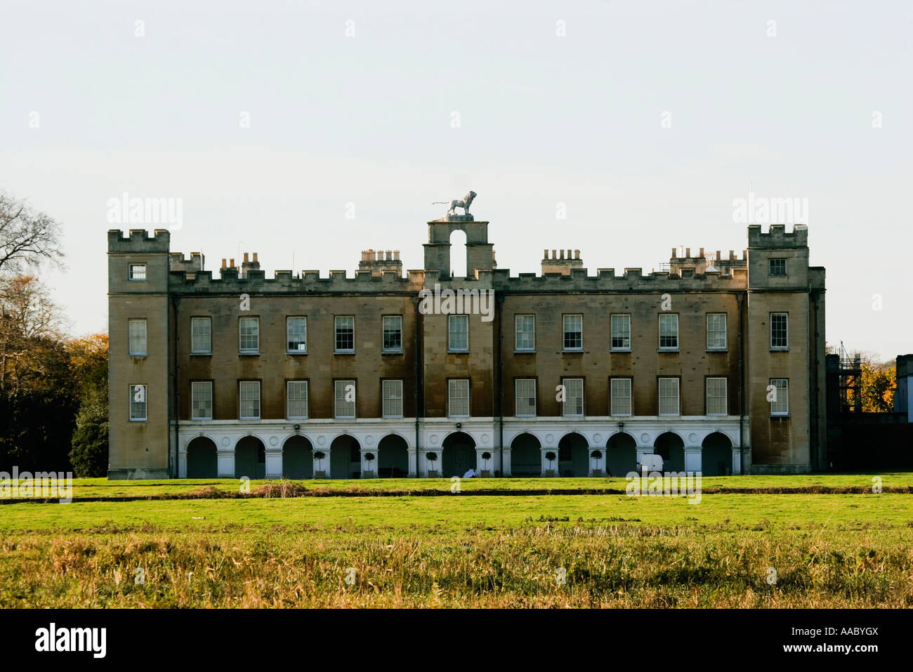 Percy lion hi-res stock photography and images - Alamy