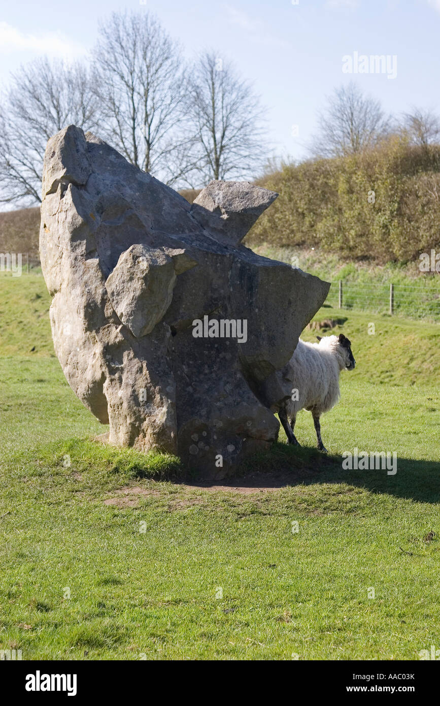 Sheep stonehenge england High Resolution Stock Photography and Images ...