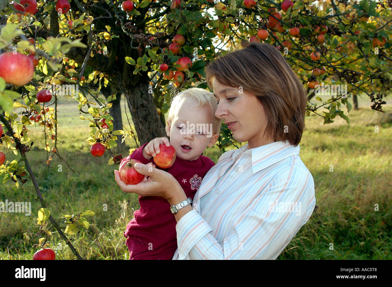 Mother and child with apple tree Stock Photo - Alamy