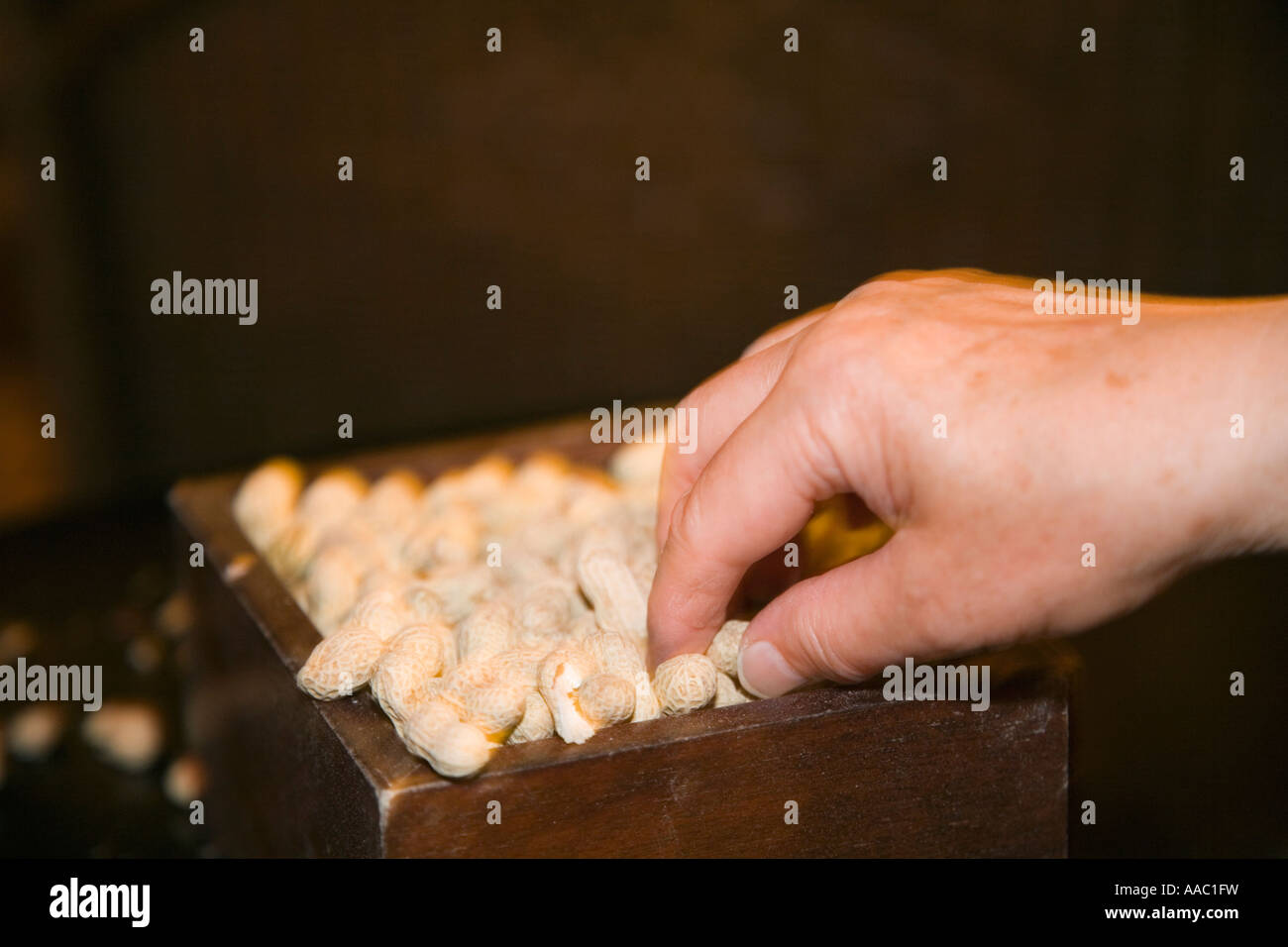 Picking peanuts hi-res stock photography and images - Alamy