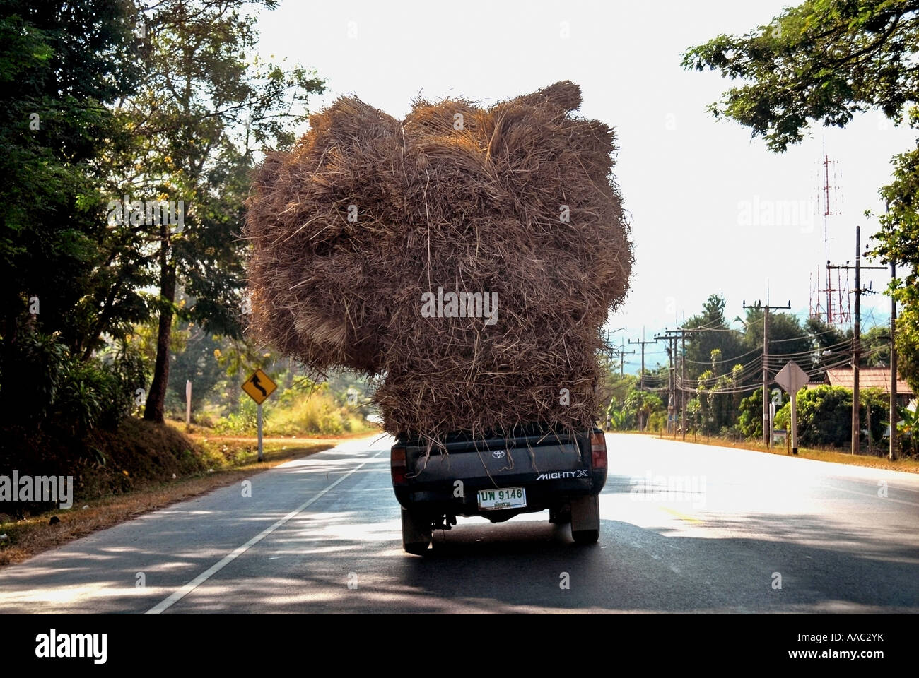 Straw being transported on a pickup,Chiang Rai,Thailand Stock Photo - Alamy