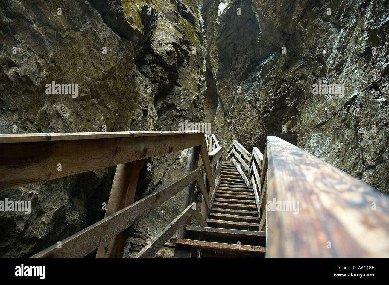 Fitness ladders hi-res stock photography and images - Alamy