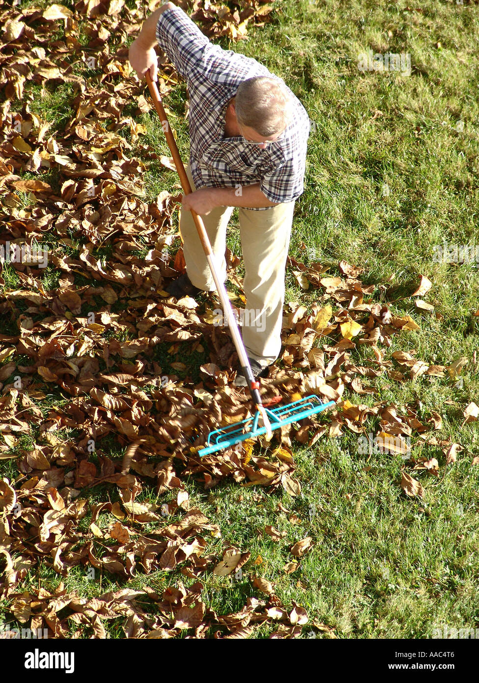 Man raking leaves Stock Photo - Alamy