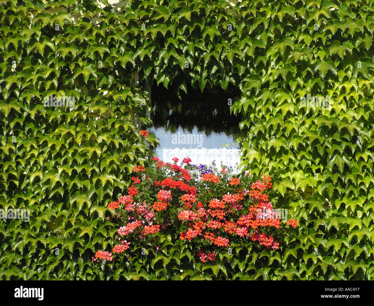 Nearly quarter to one hi-res stock photography and images - Alamy