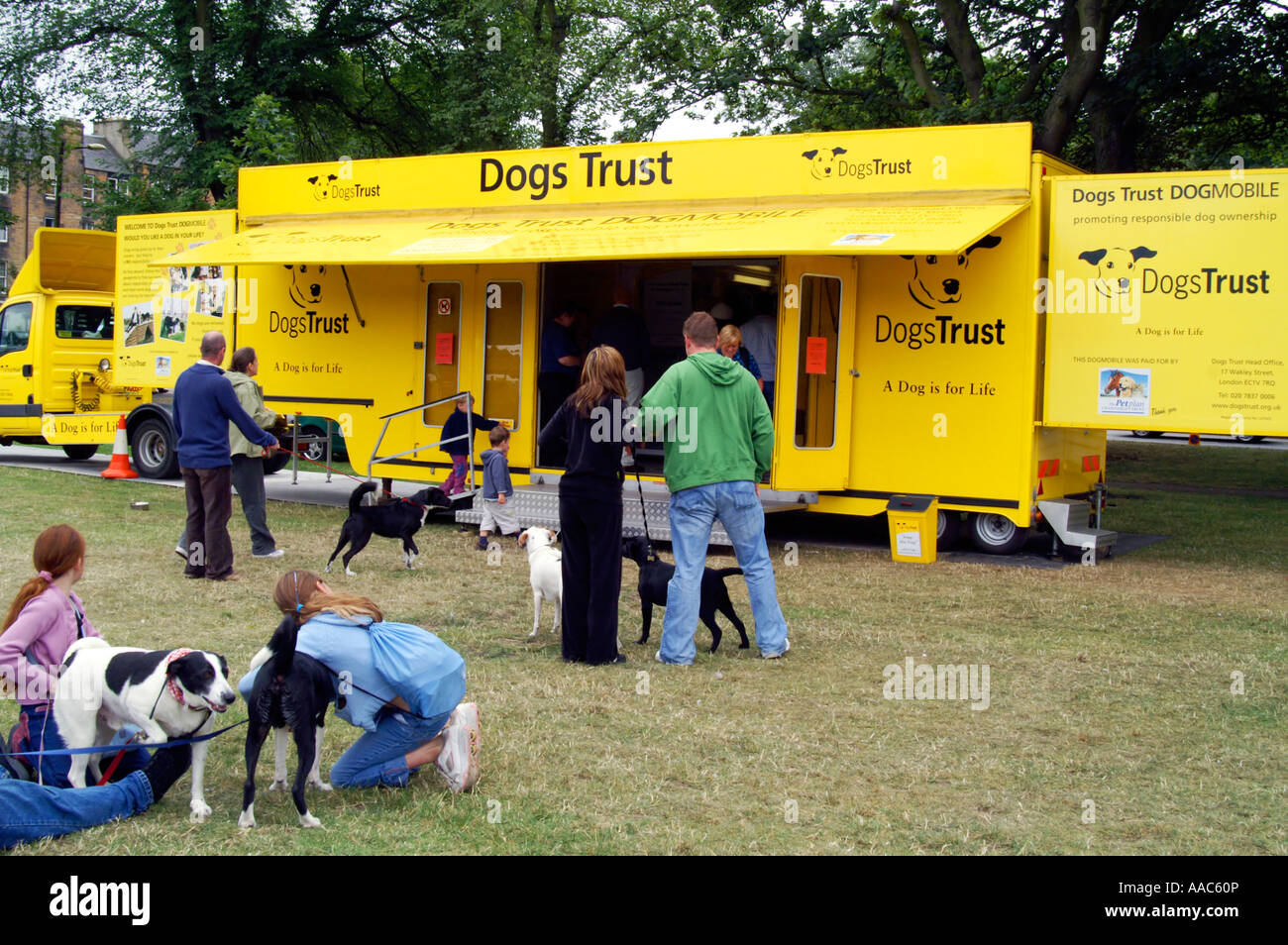 What Are The Aims Of Dogs Trust