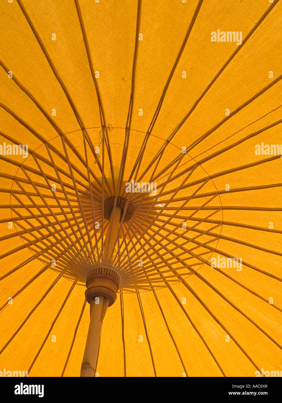 Inside umbrella hi-res stock photography and images - Alamy