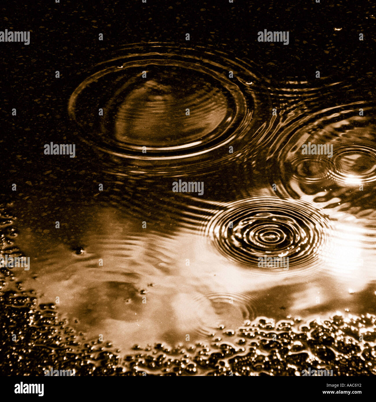 Variegating hi-res stock photography and images - Alamy