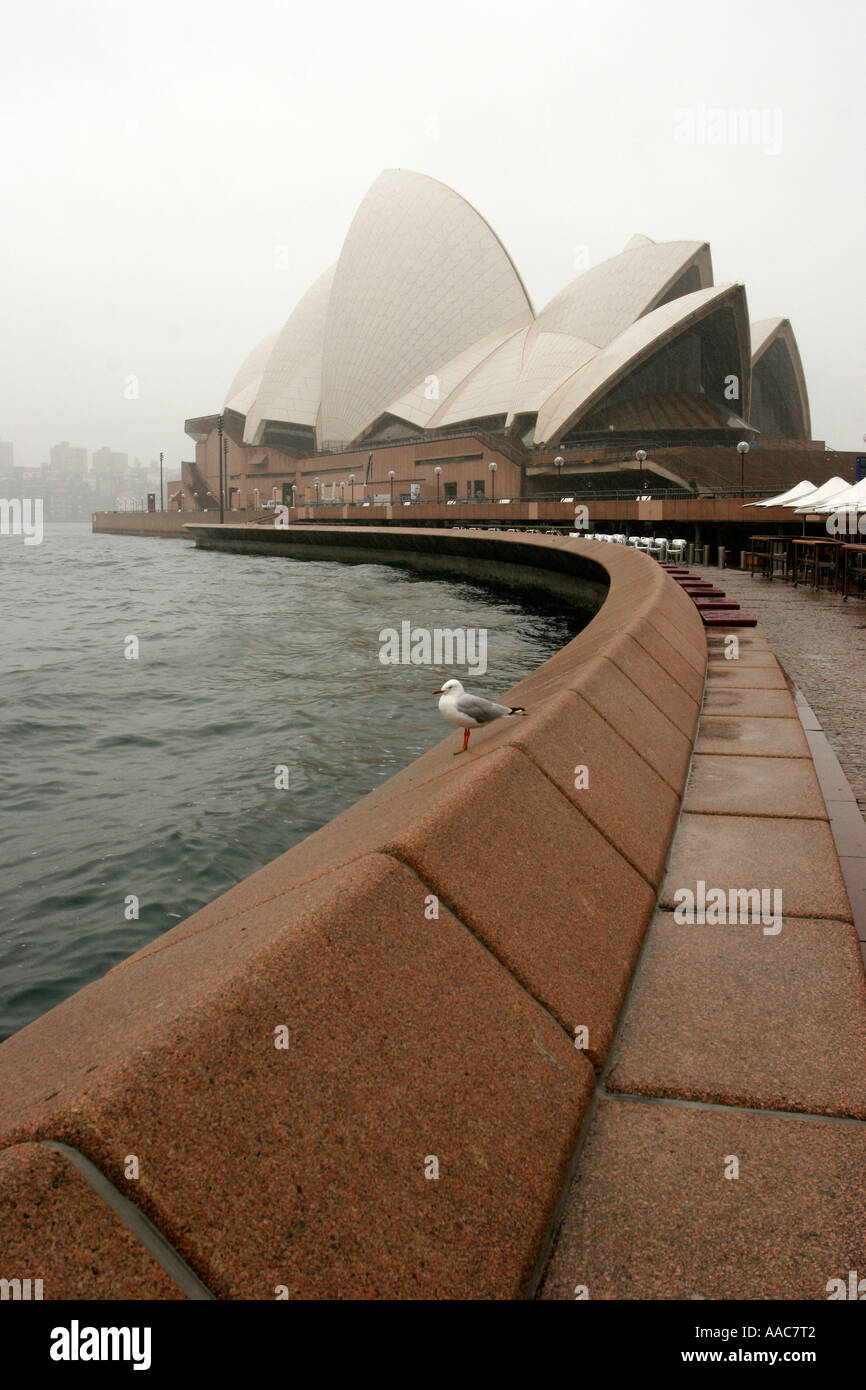 Sydney Opera House in the rain mist and mist. Sydney New South Wales ...