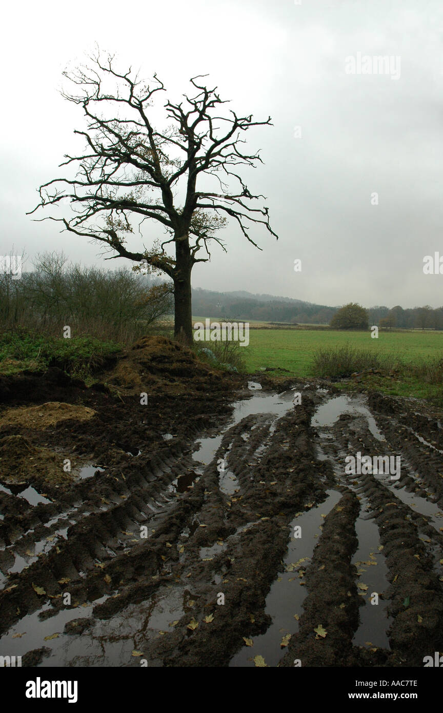 Flooded farm track hi-res stock photography and images - Alamy