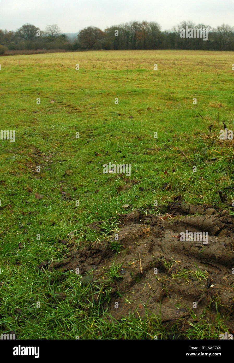 Tyre print hi-res stock photography and images - Alamy