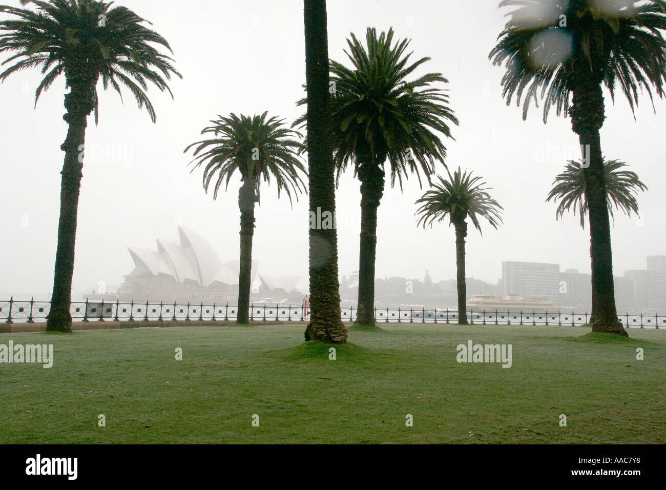 Sydney opera house in rain hi-res stock photography and images - Alamy