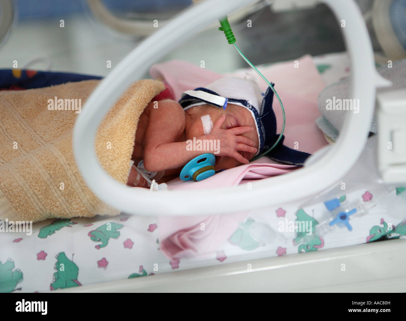 Premature Baby Boy In Hospital Highres Stock Photo