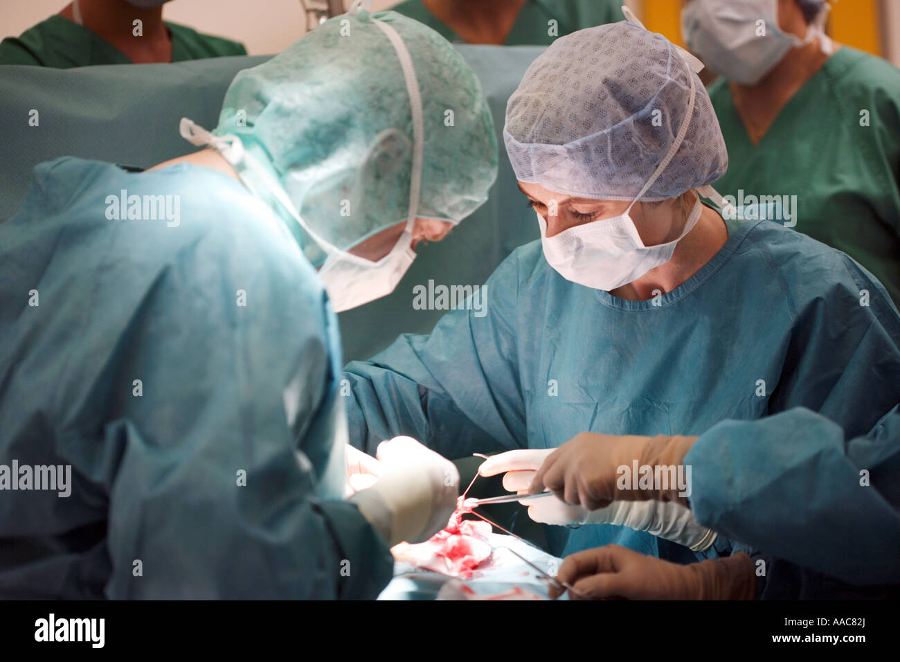 Altona children s hospital Team of surgeries during an operation Stock ...