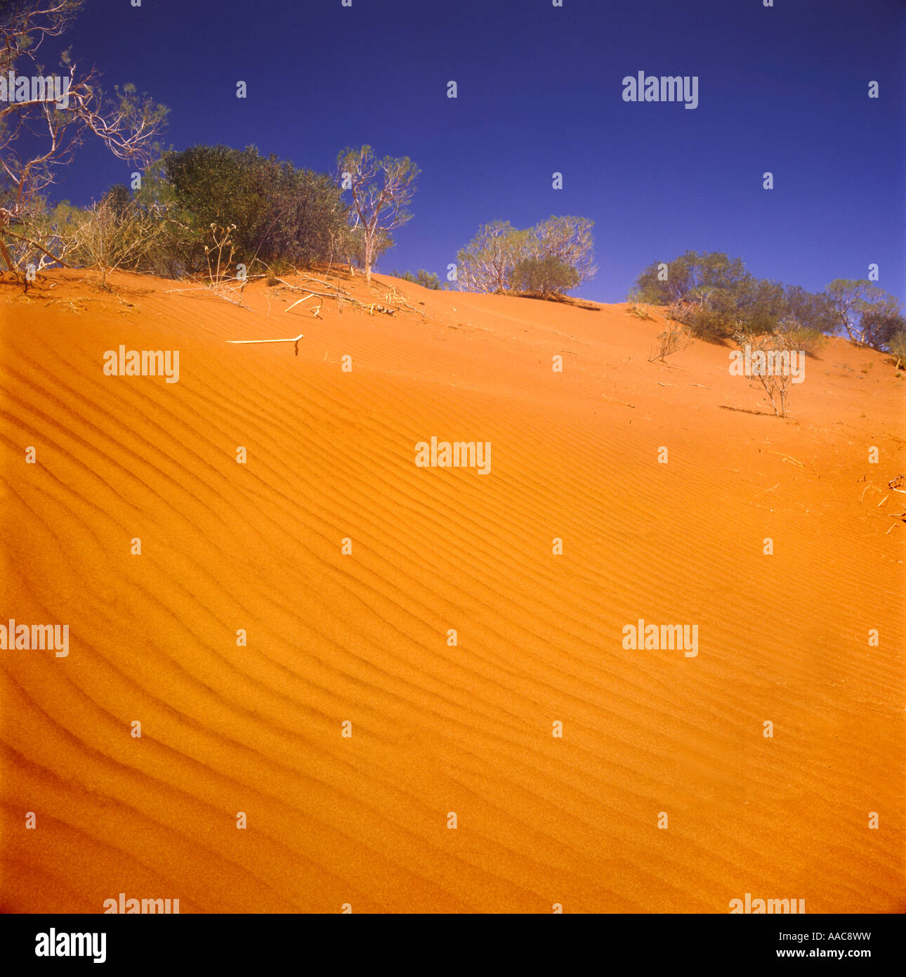 Red Sand Patterns Of The Australia Australian Outback Stock Photo - Alamy