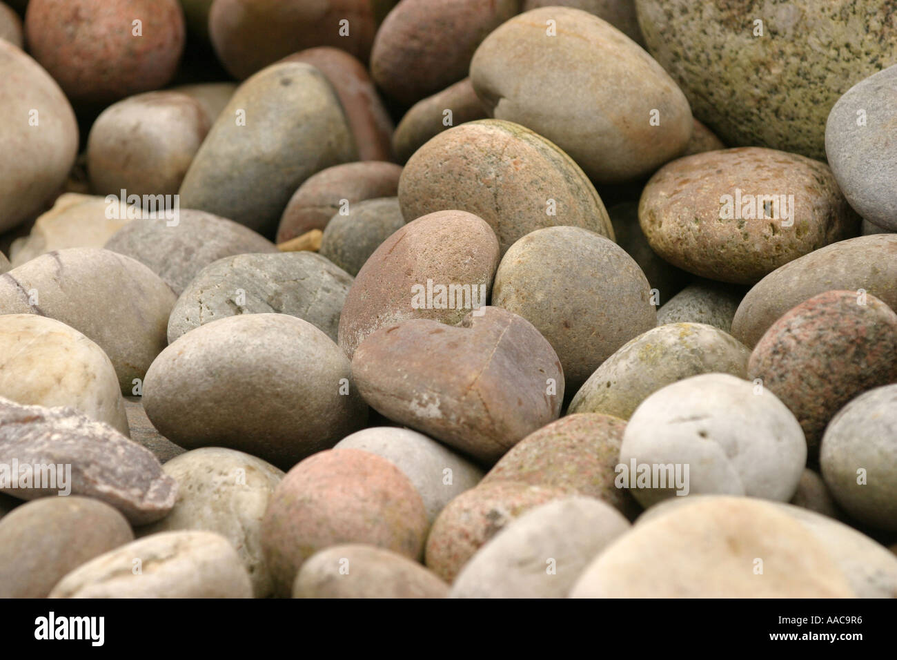 loose cobble stones and pebbles Stock Photo - Alamy