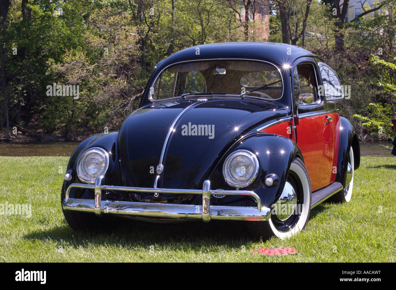 1957 Vw Beetle