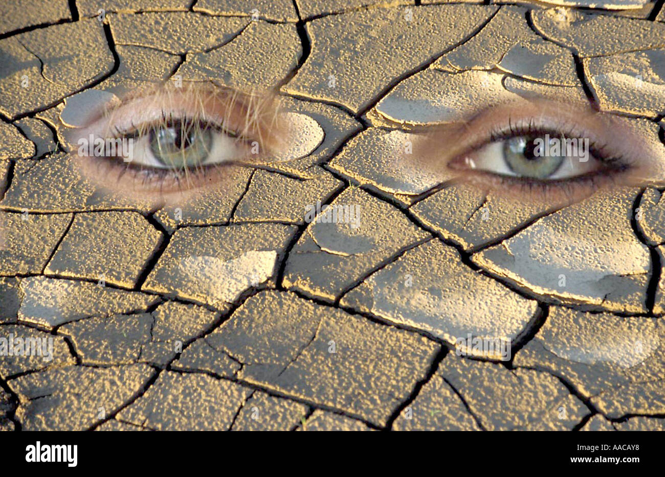 eyes on a chapped ground Stock Photo - Alamy
