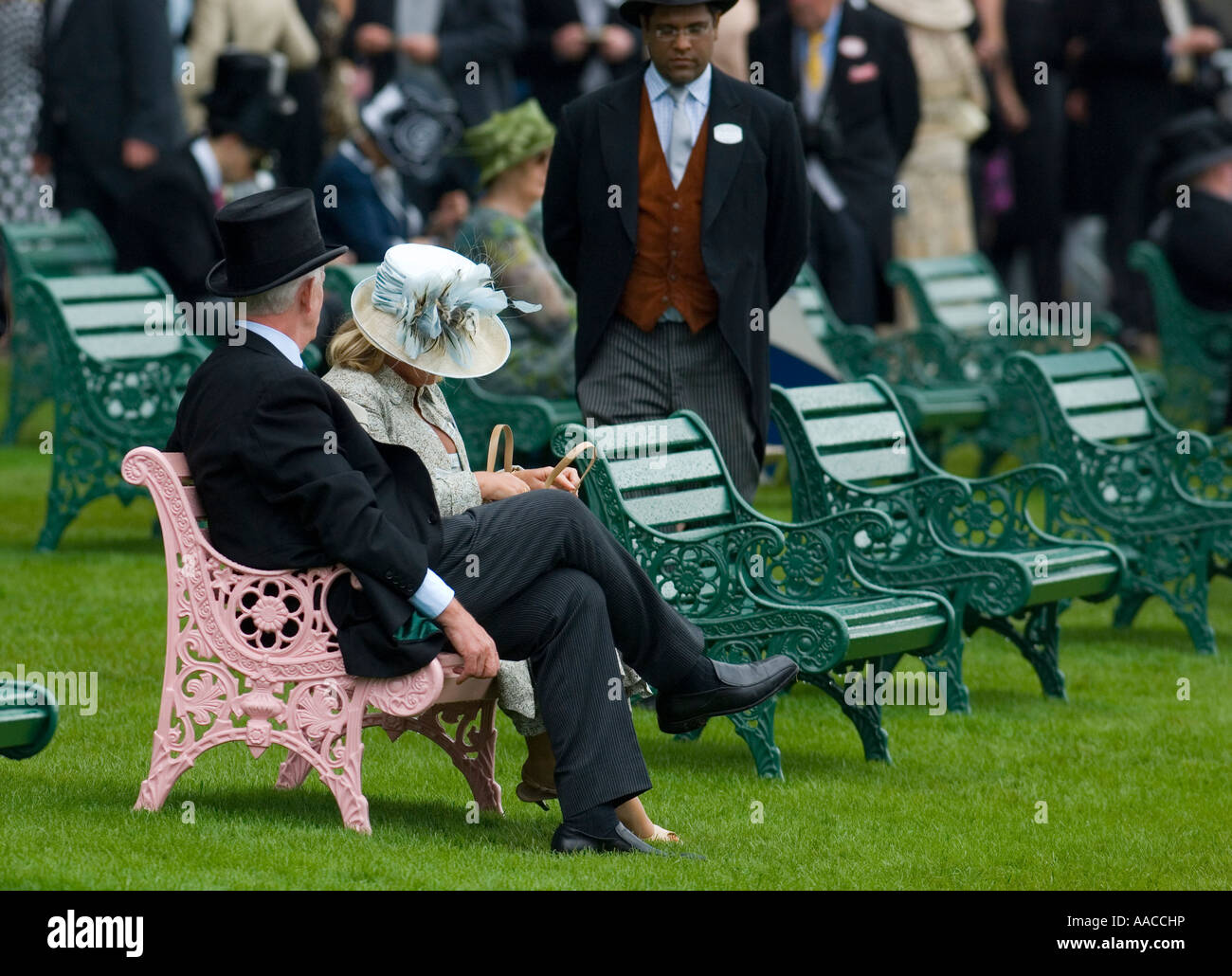Elegant couple sitting on a pink bench in the royal enclosure at Royal ...